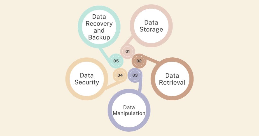 What Is Data Management Services | 20 Benefits Of Data Management